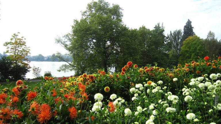 Mainau: la isla de las flores en Alemania - El viajero accidental