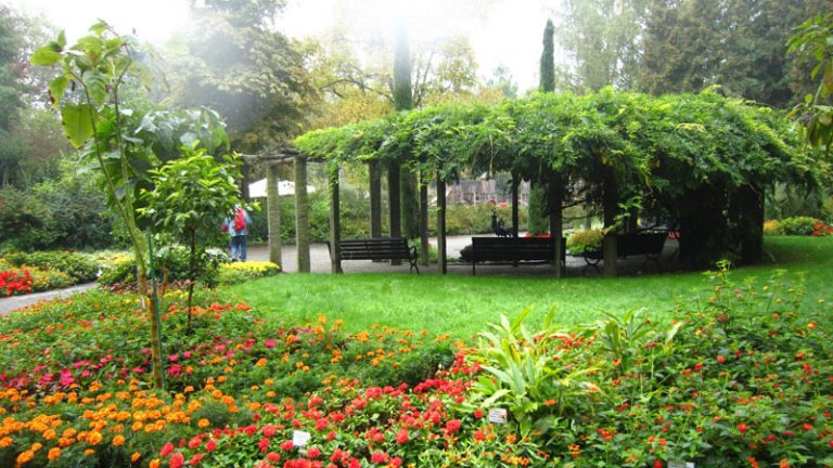 Mainau: la isla de las flores en Alemania - El viajero accidental
