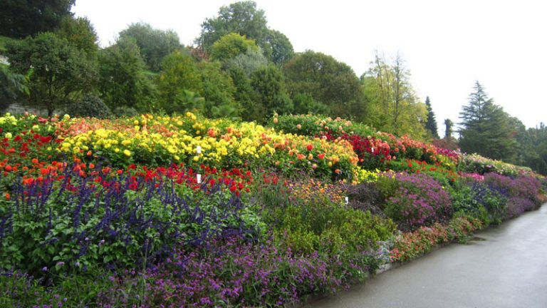 Mainau: la isla de las flores en Alemania - El viajero accidental