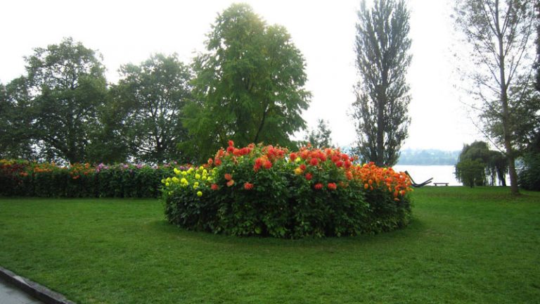 Mainau: la isla de las flores en Alemania - El viajero accidental