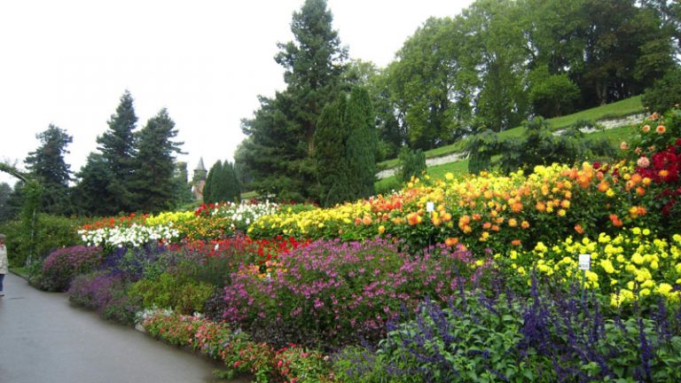 Mainau: la isla de las flores en Alemania - El viajero accidental
