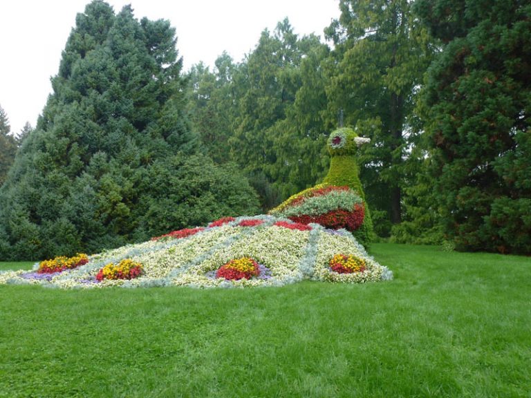 Mainau: la isla de las flores en Alemania - El viajero accidental